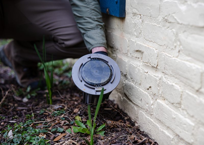 Termites are Gross! Get Expert Term1te Treatment Now