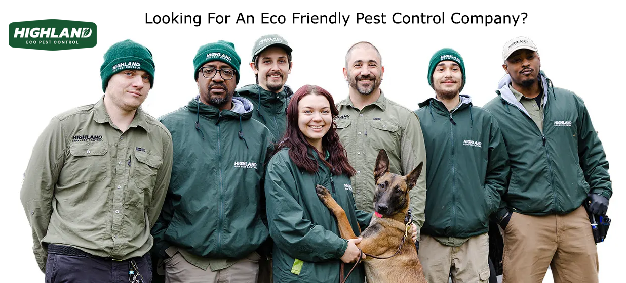 An Expert Pest Control Team You Can Depend On | 703-739-2847‍